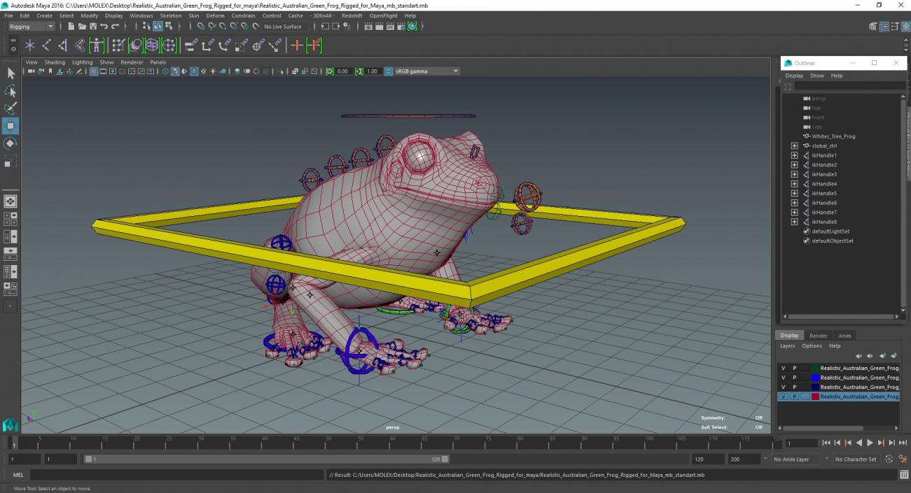 Realistic Australian Green Frog Rigged for Maya 3D | 3D Molier ...
