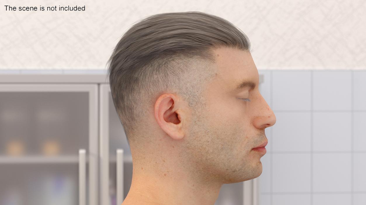 3D Male Realistic Anatomy Collection model | 3D Molier International