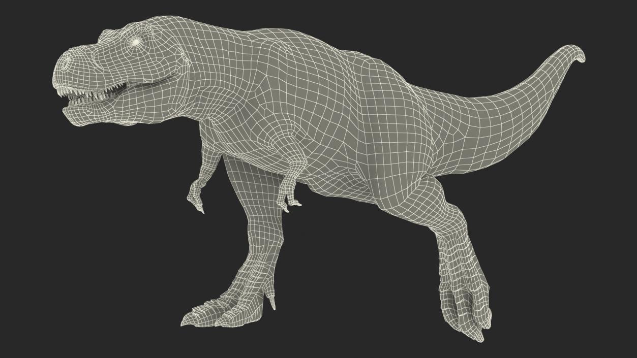3D T Rex Running Animated Rigged for Maya model | 3D Molier International